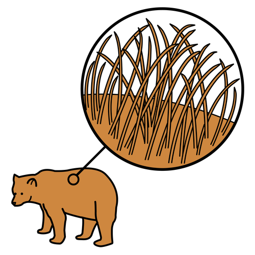 Pictosonidos :: Aprendo con pictogramas y sonidos